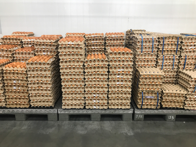 Wholesale Closeout Food Brokers | Lewisco Holdings